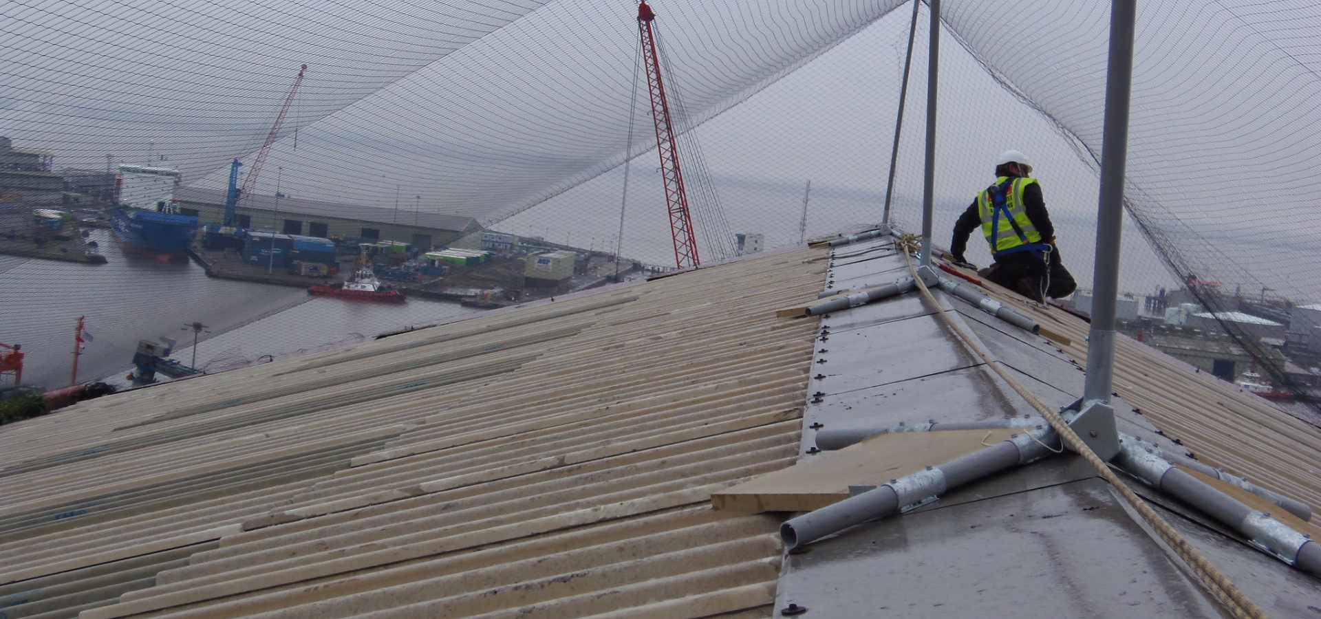 UK Wide Bird Control and Bird Proofing | EXPELPest