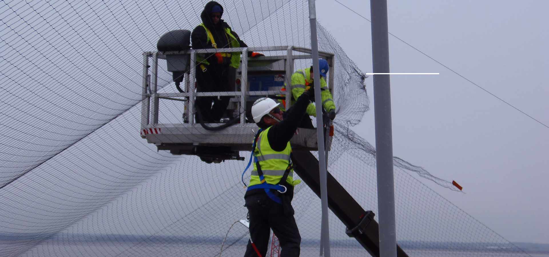 Bird Proofing - Domestic & Industrial Buildings | EXPELPest